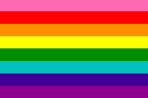 A Brief History and Explanation of 10 Pride Flags